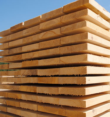 Sustainable Forest Products | PNG Diwai Holdings Limited